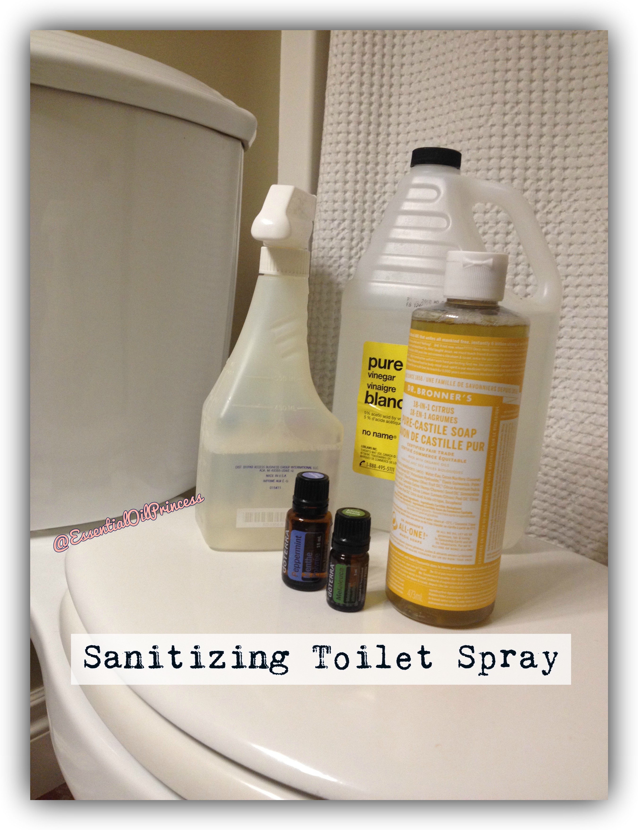 Sanitizing Toilet Spray